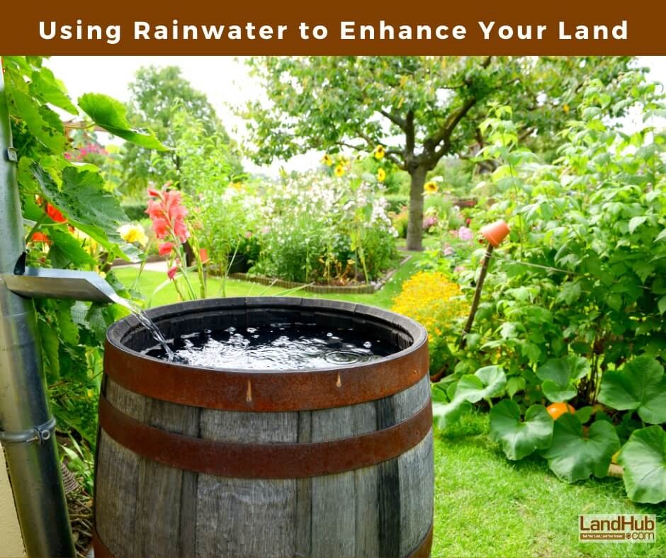 Using Rainwater to Enhance Your Land | LandHub