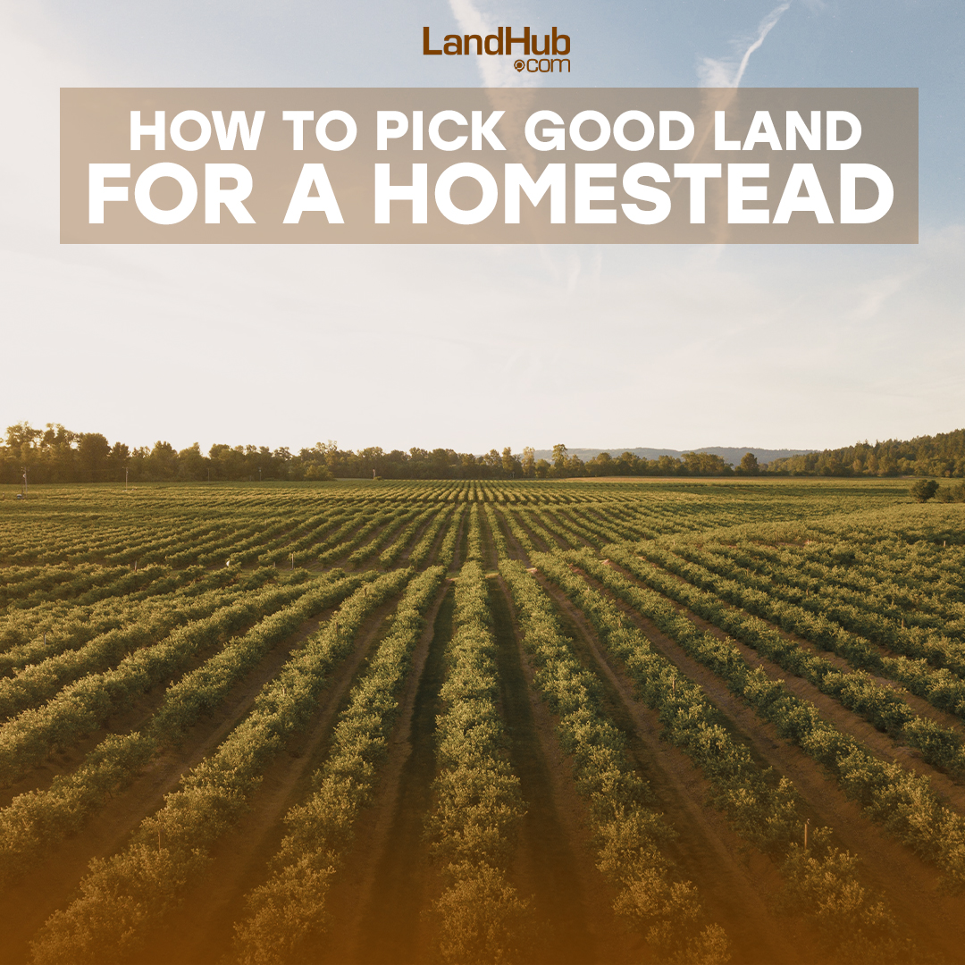 How to Pick Good Land for a Homestead | LandHub