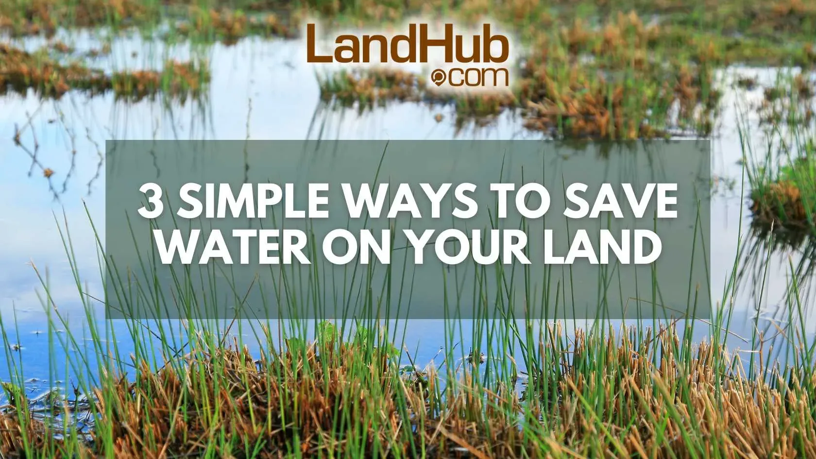 3 Simple Ways to Save Water on Your Land | LandHub