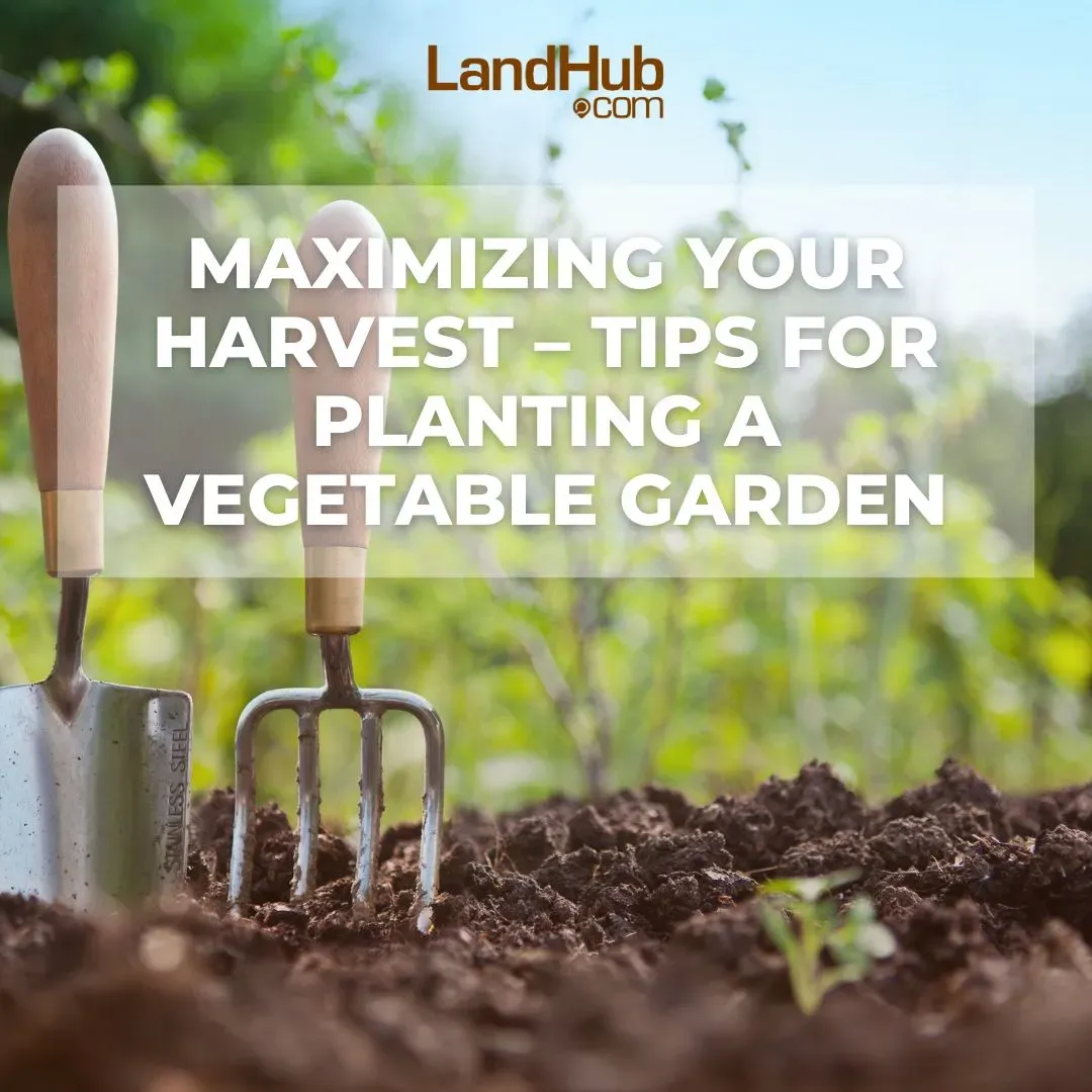 Maximizing Your Harvest – Tips for Planting a Vegetable Garden | LandHub