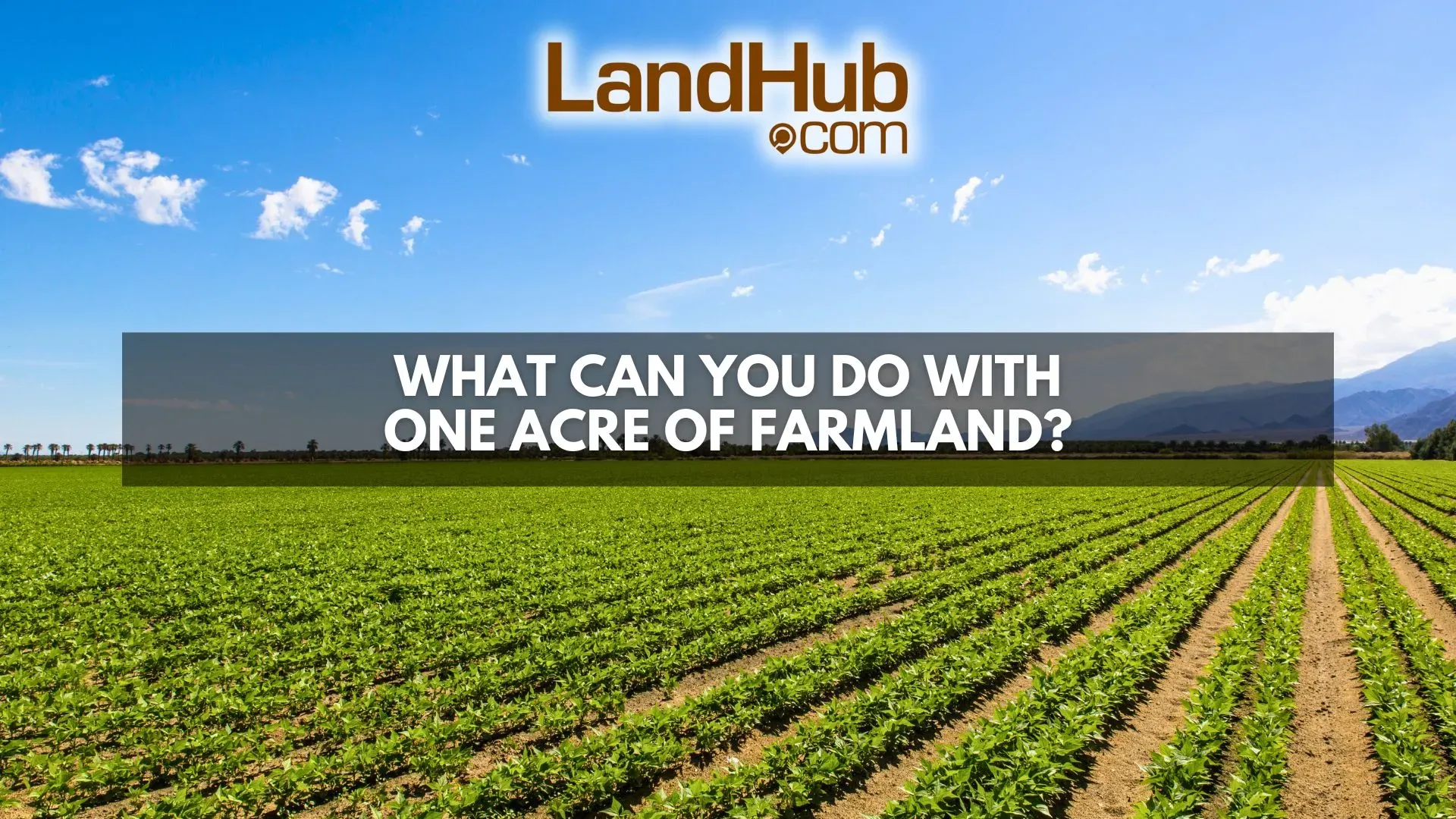 What Can You Do with One Acre of Farmland? | LandHub