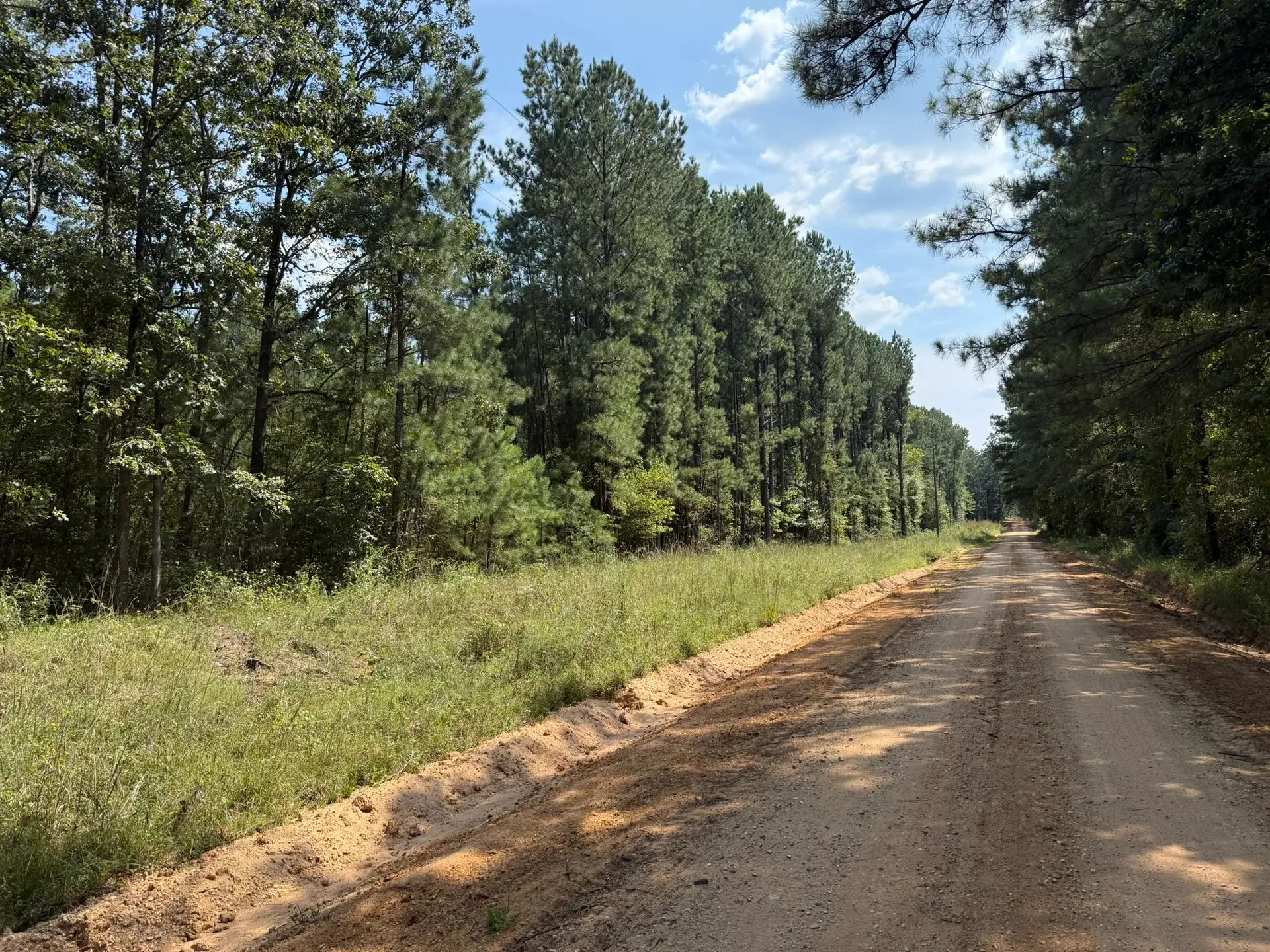 73 Acres In Smith County Ms Landhub 4969