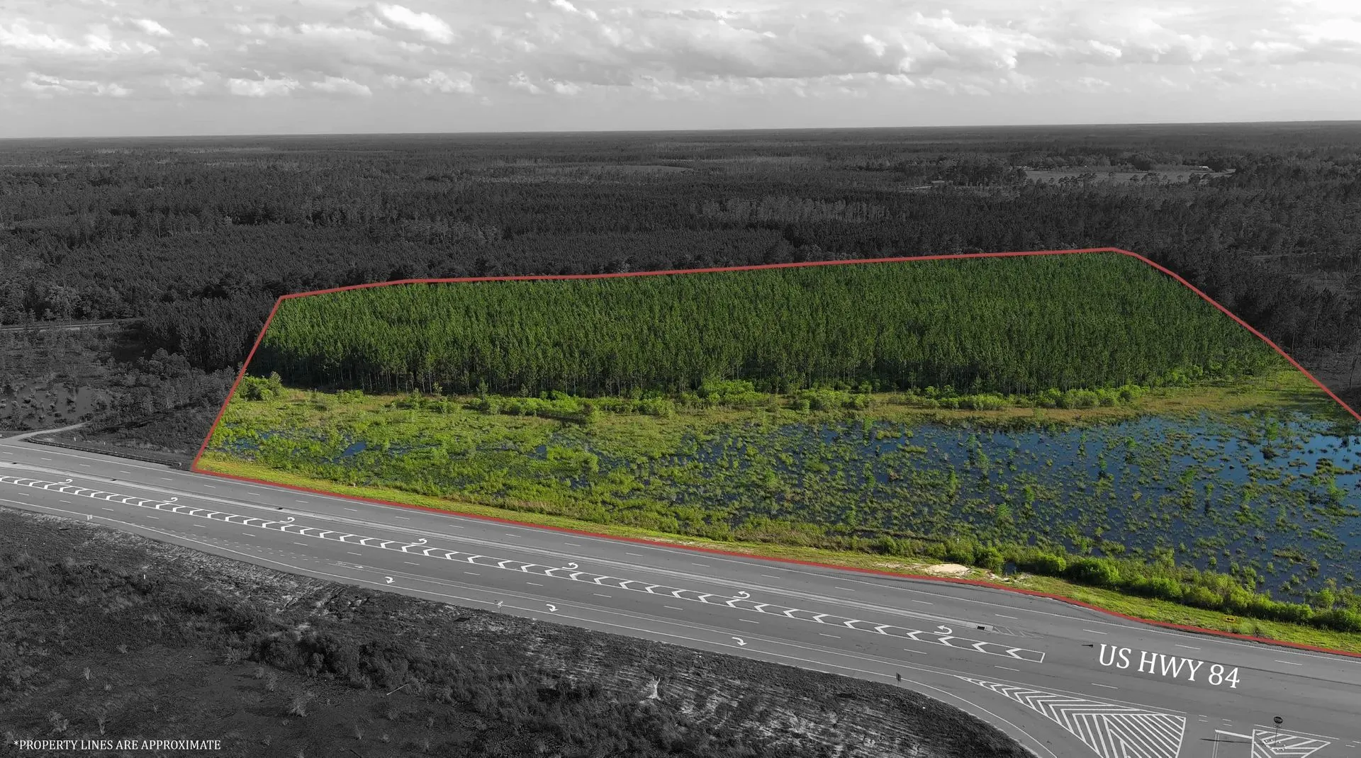 30 Acres In Waycross - Water And Pines - Valdosta Hwy | LandHub