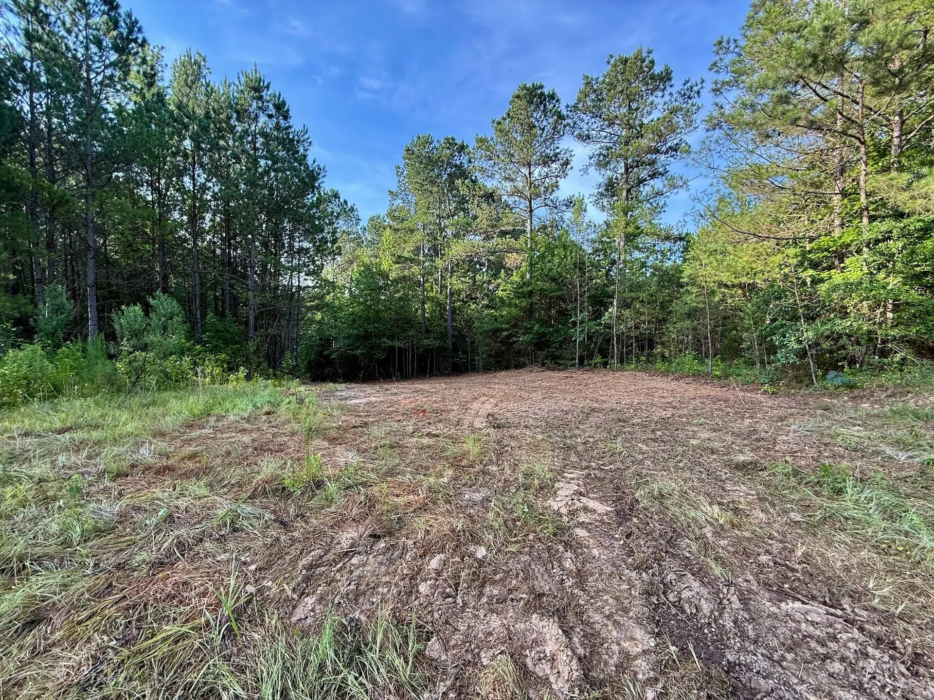 70 Acres In Winston County, MS | LandHub