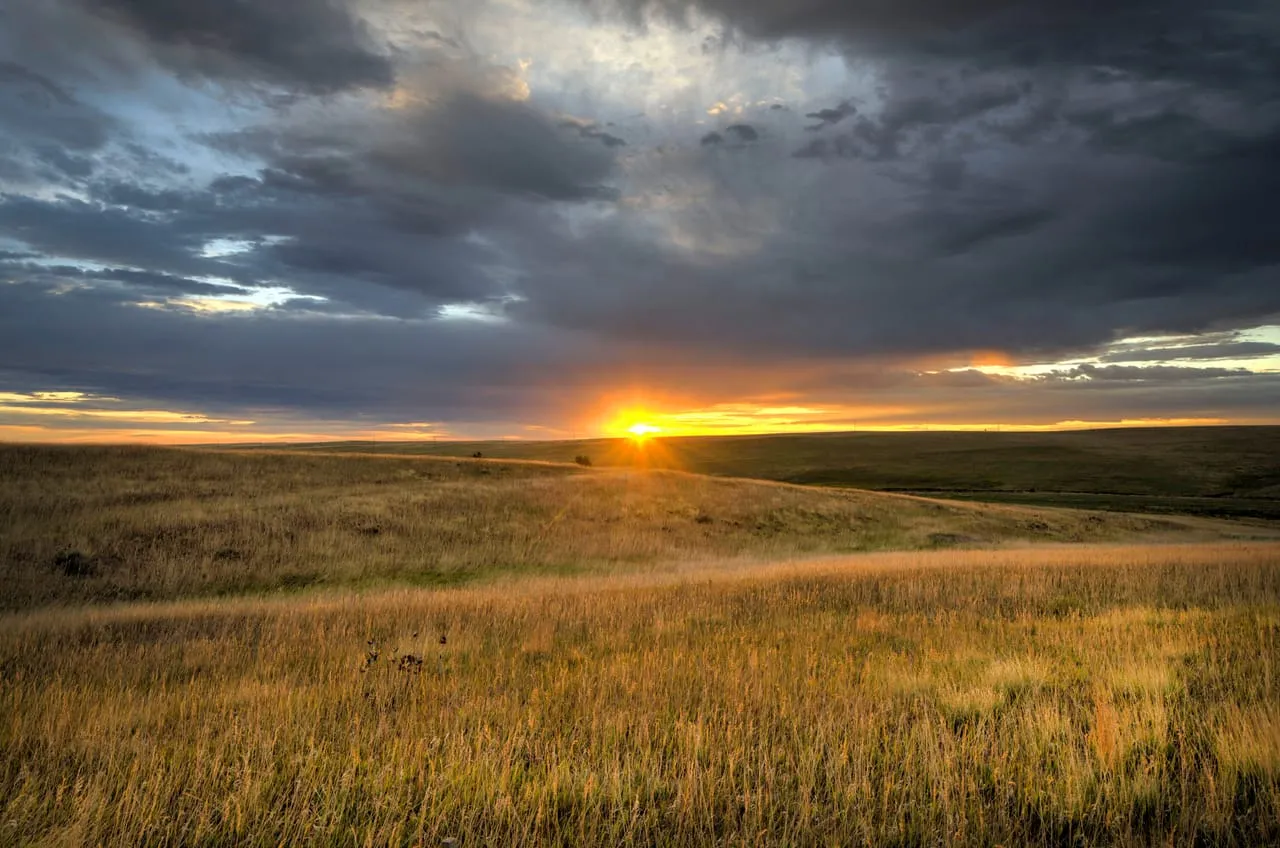 Lots At Last Dart Road | LandHub