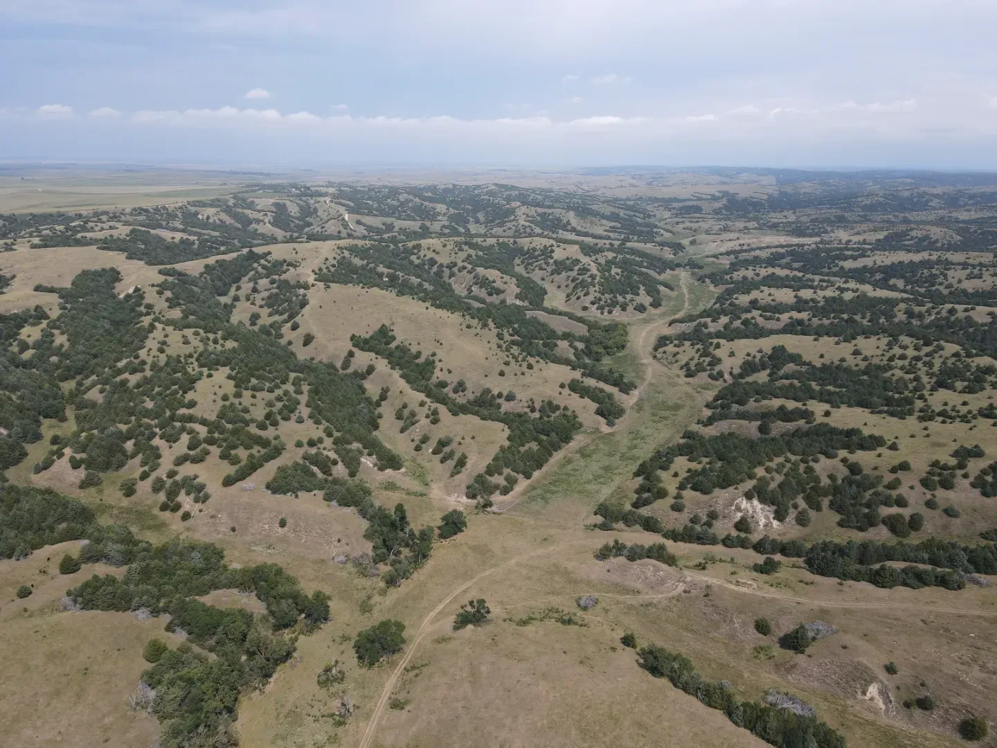 Lincoln County Pasture & Hunt | LandHub