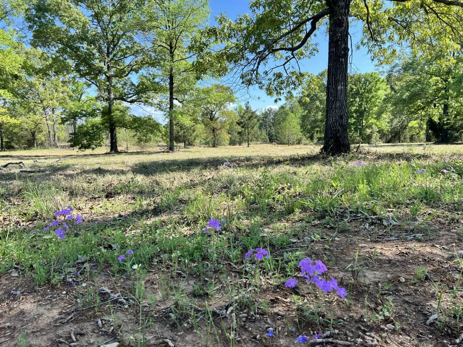Acreage Near Toledo Bend Lake | LandHub