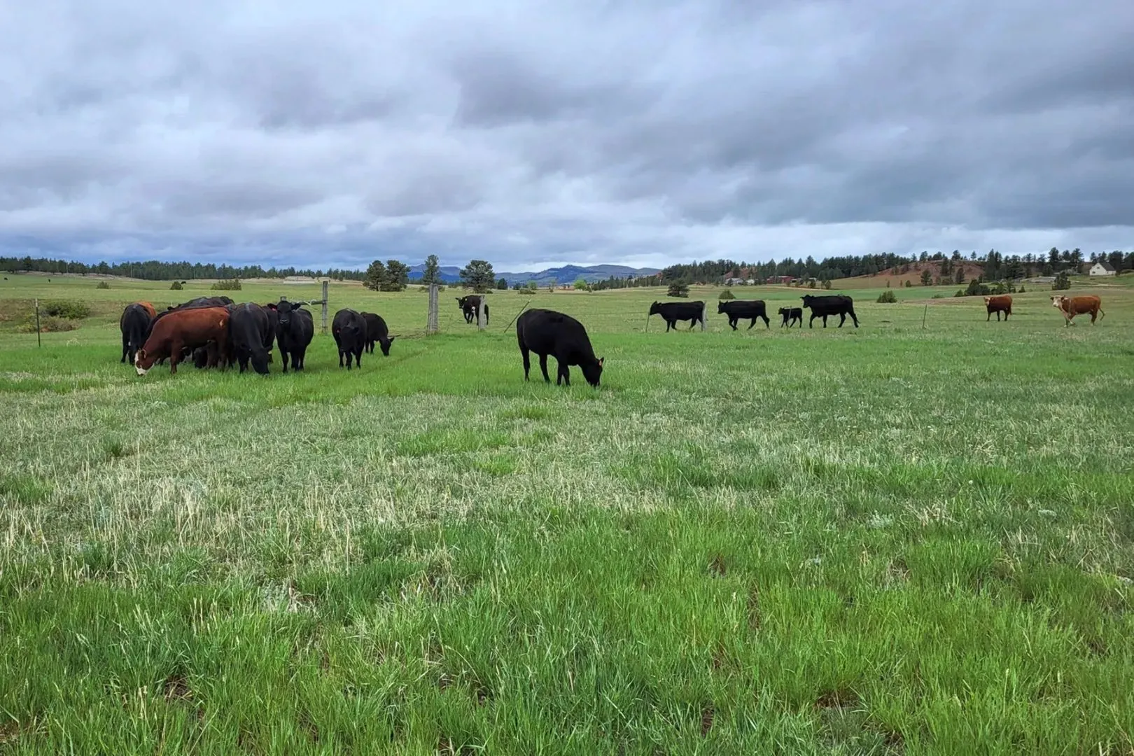 Mountain View Ranch | LandHub