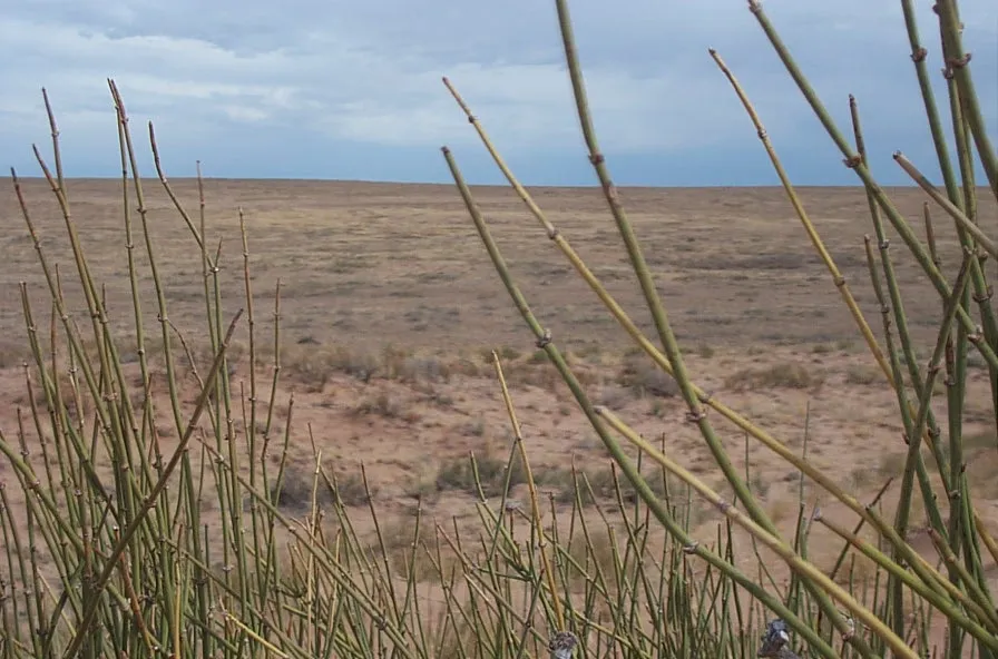4 Adjoining Lots 5 Acres Near Petrified Forest Painted Desert Holbook ...