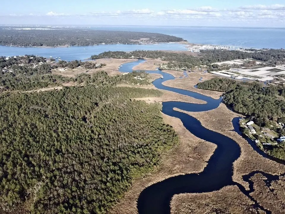 310.50 Acres At 0 Dog River Road | LandHub