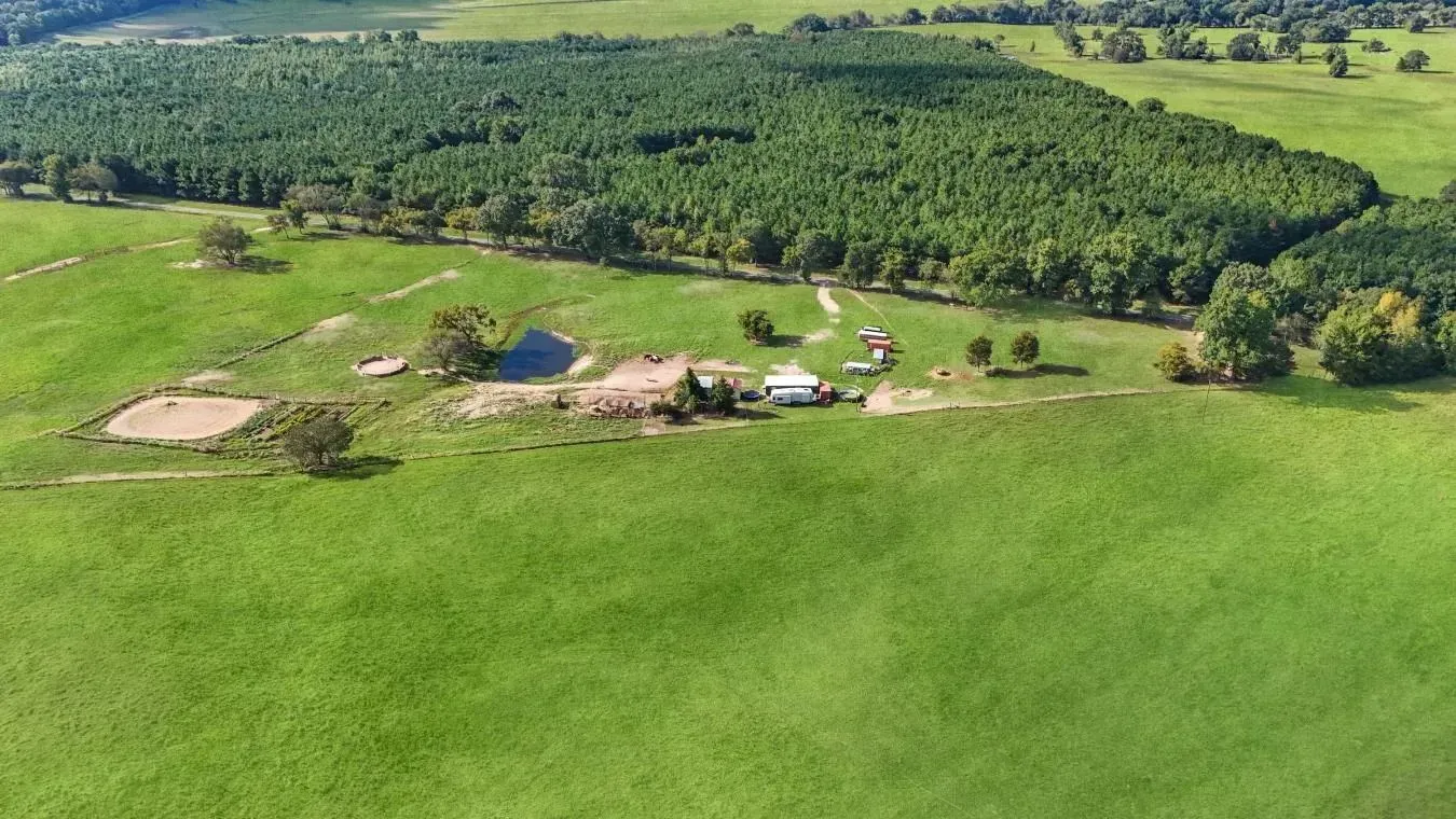 8-Acre Equine Retreat W/ Arena, Pond, And Ag Exempt | LandHub