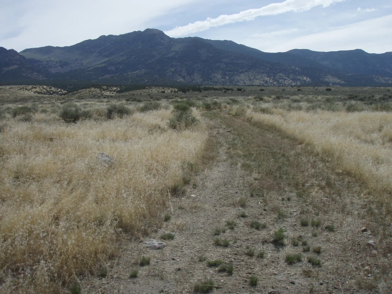 Base Of The Toano Mountains - Eastern Nevada | LandHub