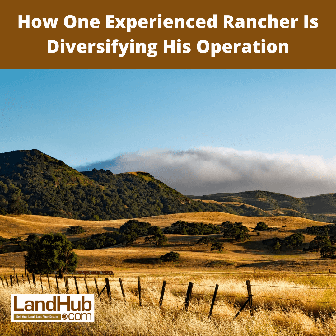 Ranch Land For Sale | LandHub